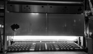 Mindhive Global drives quality excellence in manufacturing