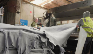 Scale your quality consistency with automated grading systems