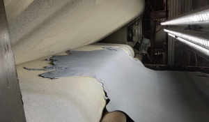 Enhance market confidence with verified leather grading